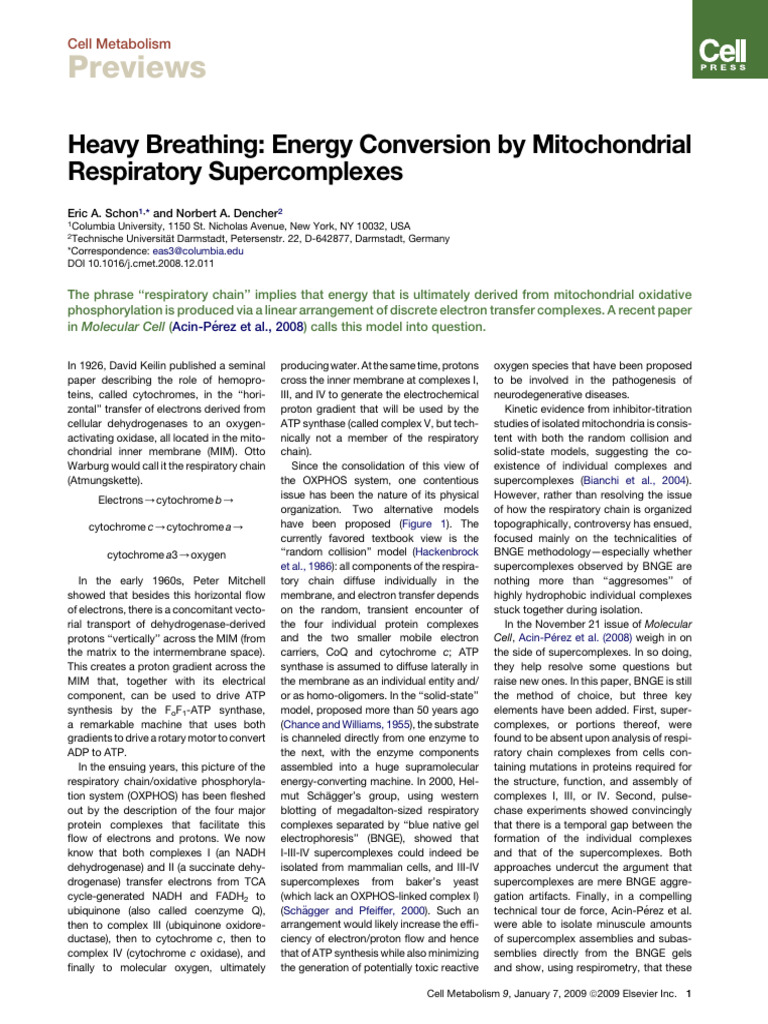 02 2008 - Respiratory Supercomplexes OK OK | PDF | Electron Transport Chain | Mitochondrion