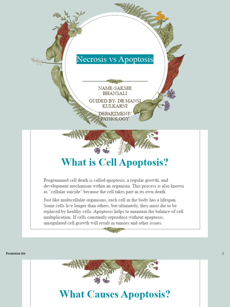 Necrosis Vs Apoptosis Pdf Apoptosis Necrosis