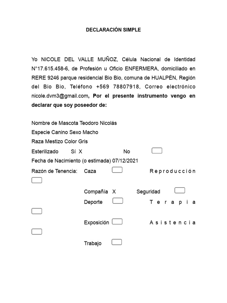 Declaracion Simple Poseedor | PDF