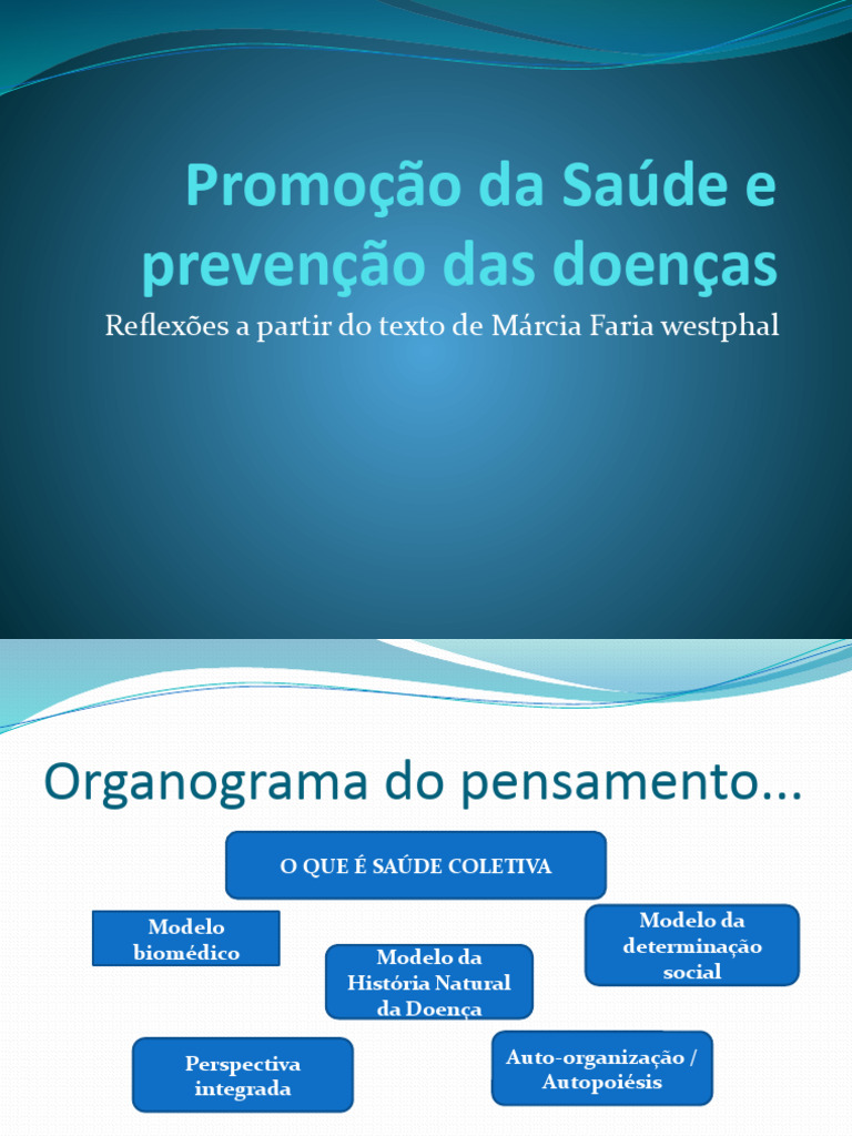 Promoção e Prevenção da Saúde | PDF | Promoção de saúde