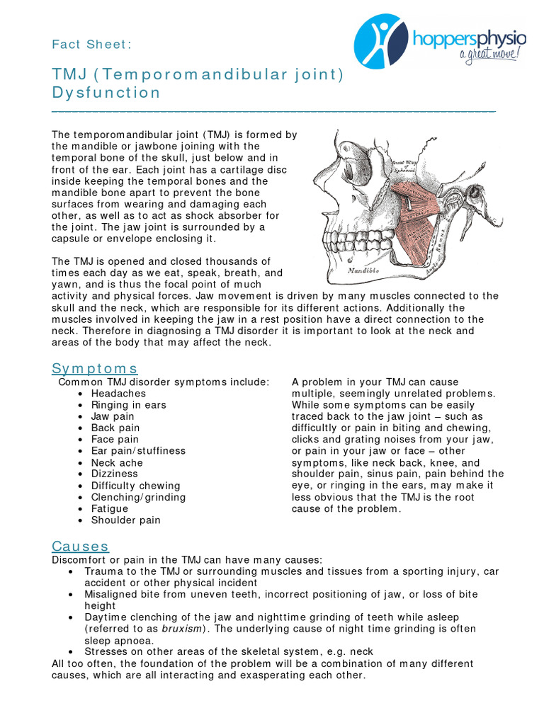 TMJ Disorder | PDF | Human Anatomy | Musculoskeletal System