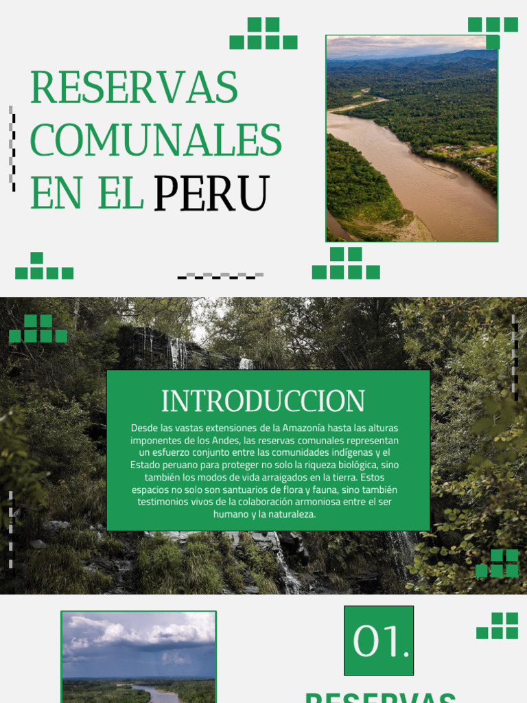 Reservas Comunales en Perú: Conservación y Biodiversidad | PDF ...