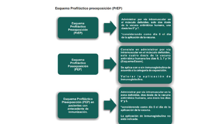 Esquema Profiláctico Preexposición (PrEP) | PDF