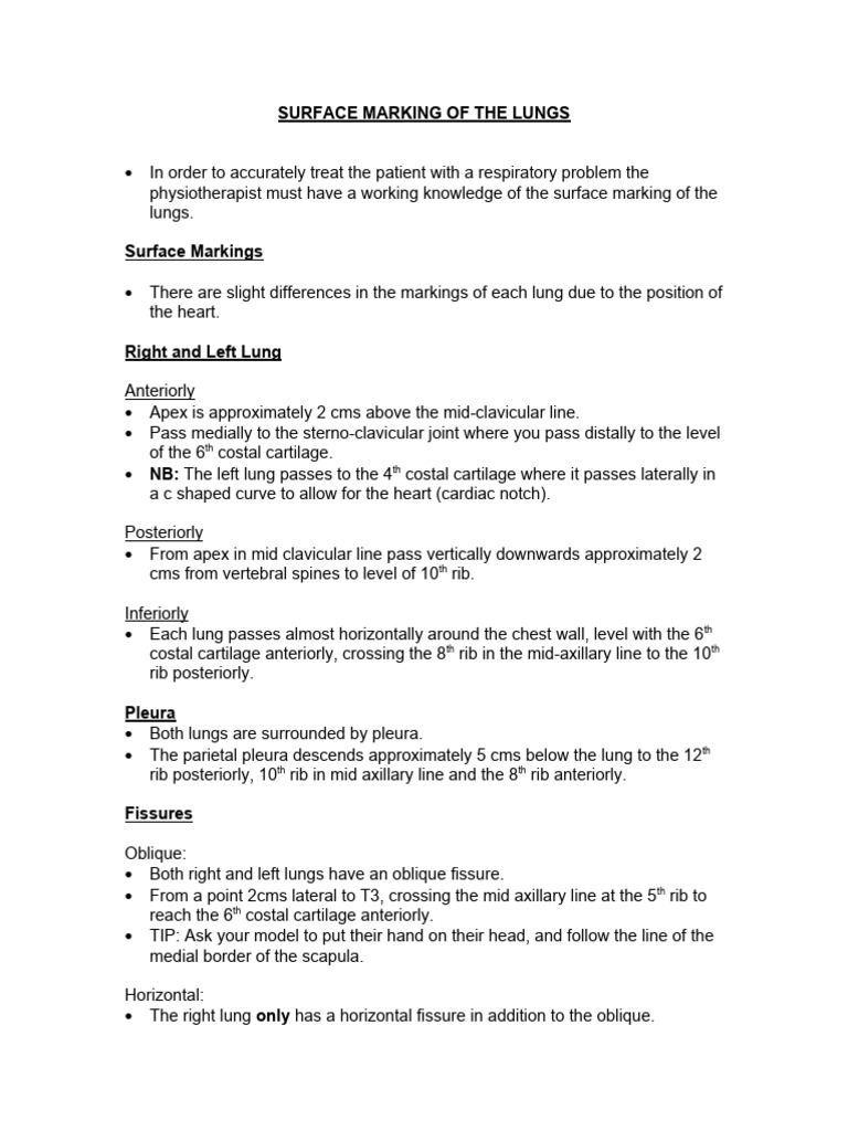 Lung Surface Markings Overview | PDF