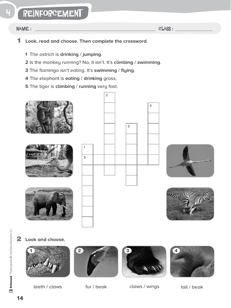 Go Far 3 | PDF | Zoology