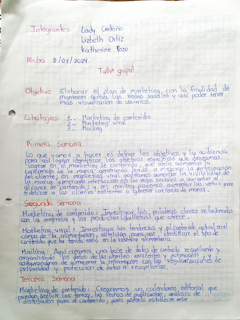 Marketing Digital - Taller Grupal | PDF