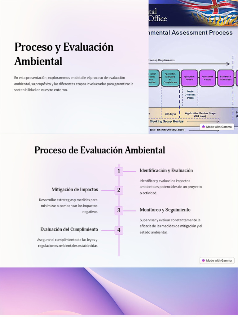 Proceso y Evaluacion Ambiental | Descargar gratis PDF | Sustentabilidad | Entorno natural