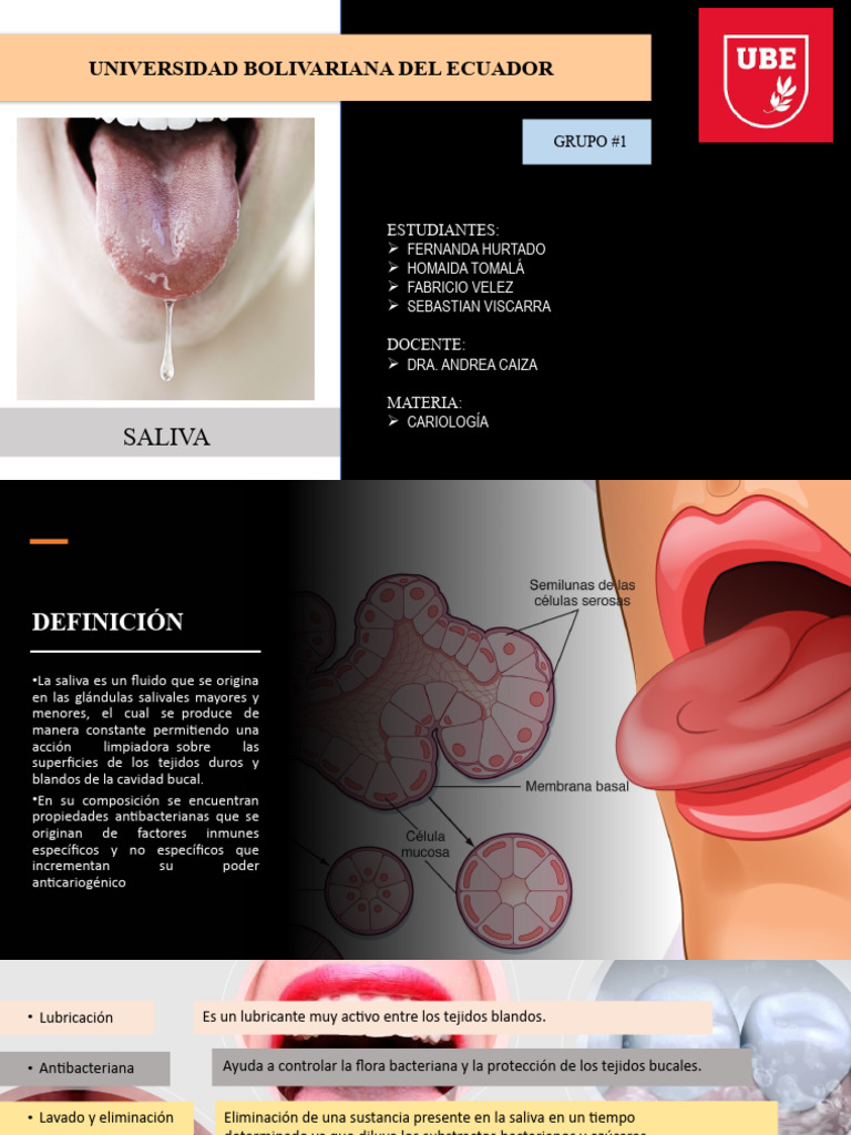 Funciones Esenciales de la Saliva | PDF | Saliva | Anatomia animal