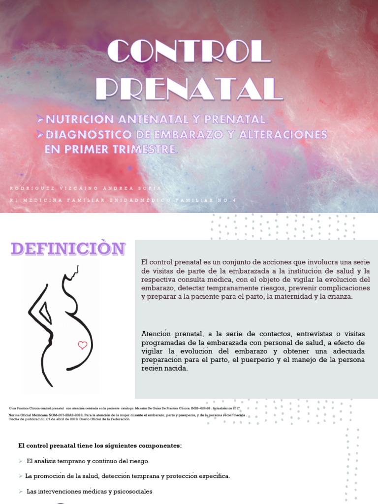 Control Prenatal: Guía y Normativa | PDF | El embarazo | Parto