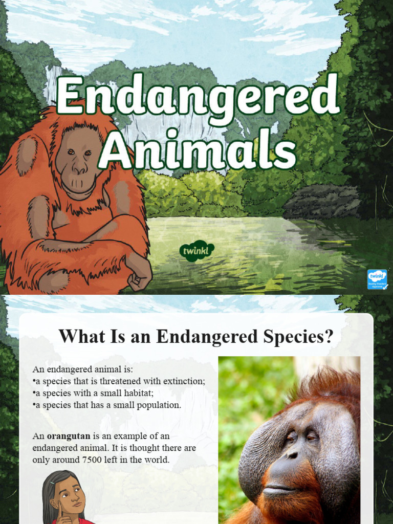Endangered Species | PDF | Endangered Species | Hunting