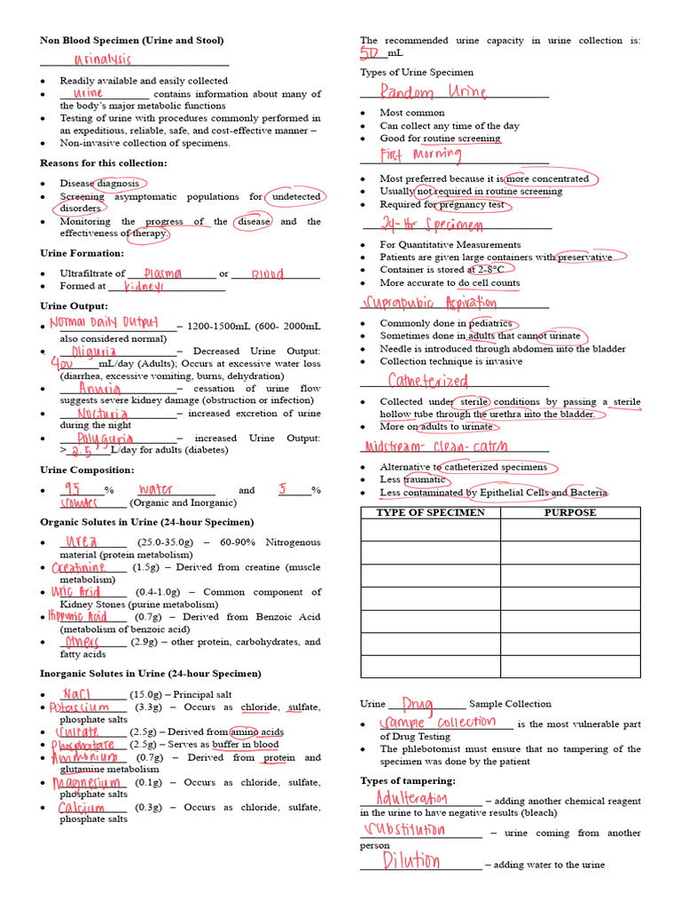 Non Blood Specimen and Stool | PDF | Urine | Metabolism