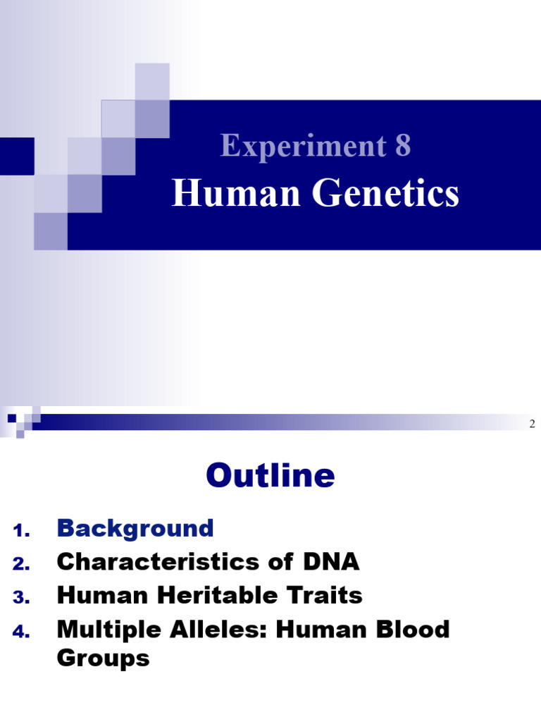 Human Genetics | PDF | Dominance (Genetics) | Allele