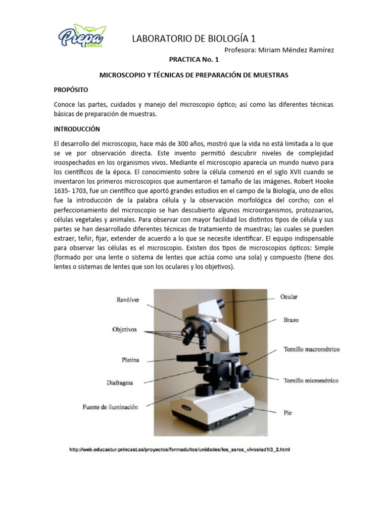 Técnicas de Preparación de Muestras en Microscopía | PDF | Microscopio ...