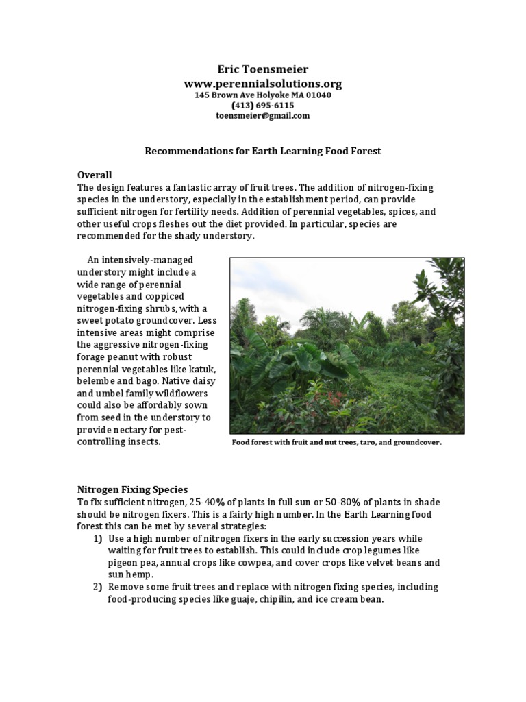 Earth Learning Food Forest Guide | PDF | Perennial Plant | Vegetables