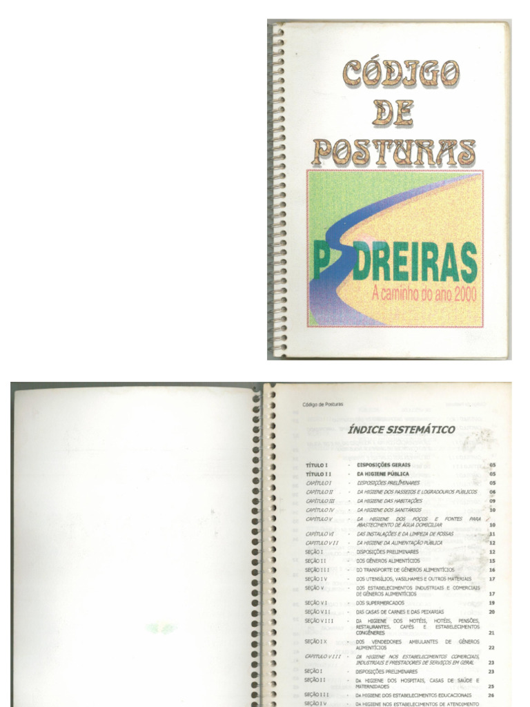 Código de Posturas | PDF