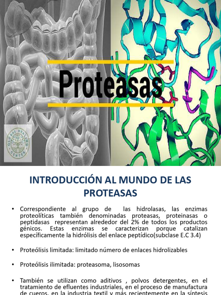 Proteasas | PDF | Proteasa | Péptido