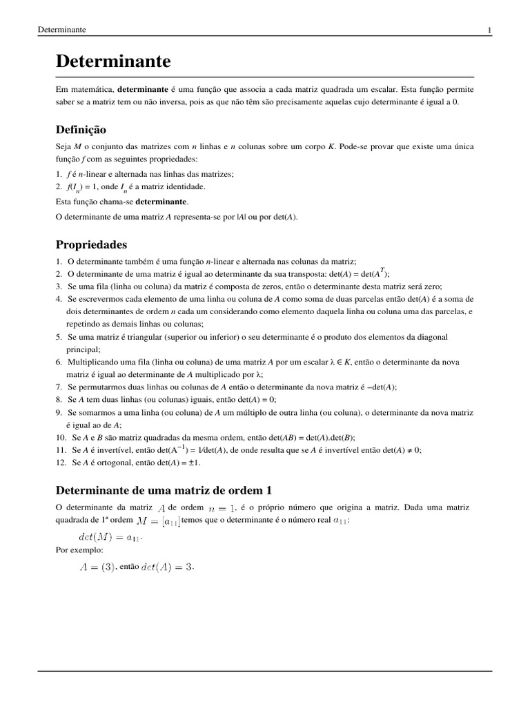 Cálculo Do Determinante de Uma Matriz | PDF | Determinante | Matriz ...