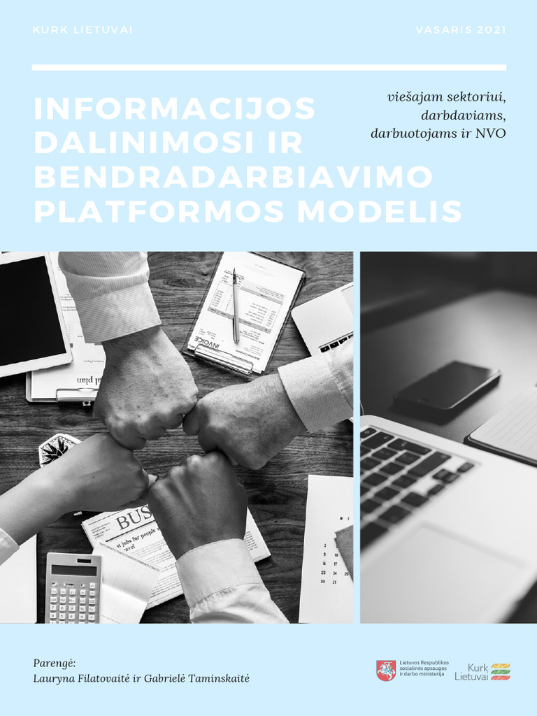 Platformos Veikimo Modelis Suinteresuotosioms Salims | PDF
