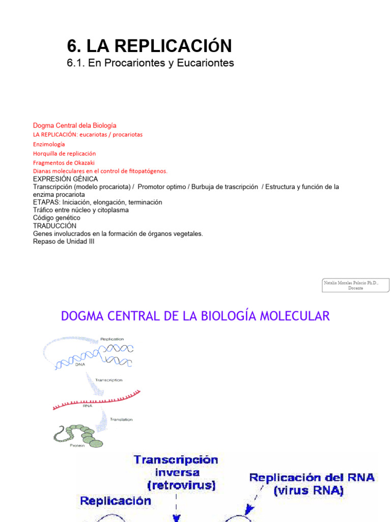 Mecanismos de Replicacion Dna | PDF | Replicación De Adn | Adn