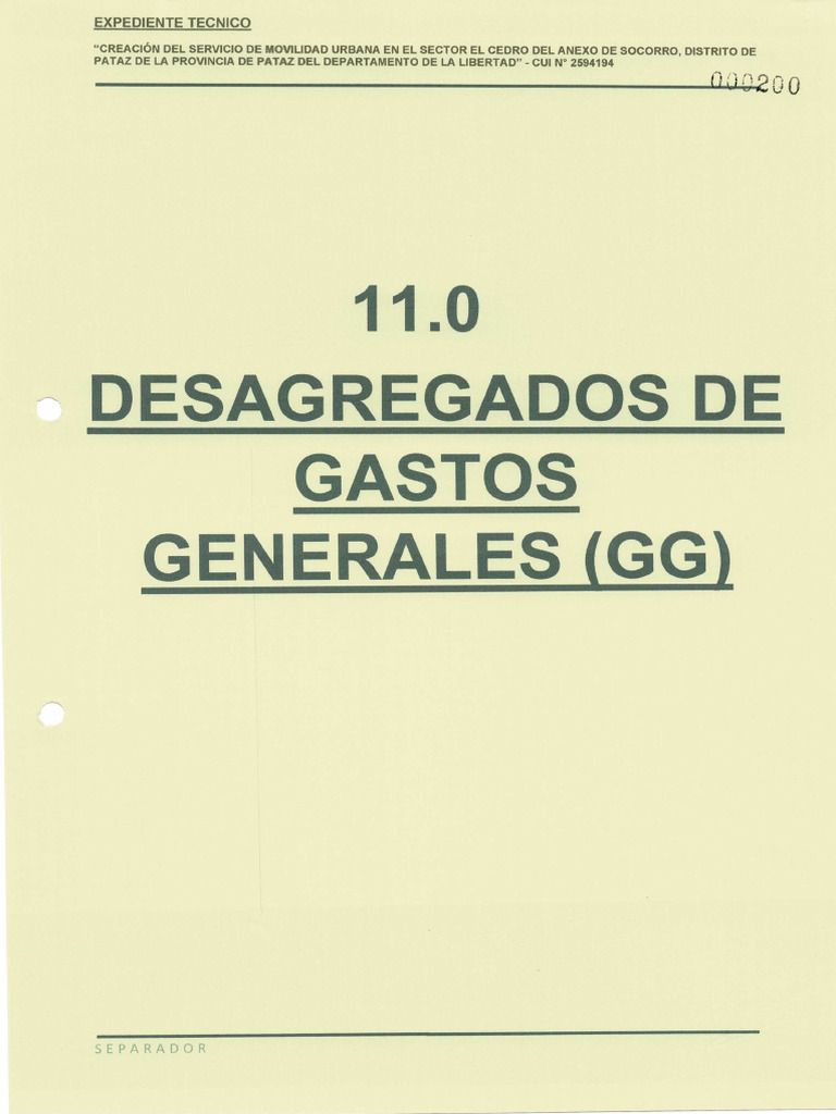 11.+desagregados+de+gastos+generales 20240320 205210 985 | PDF