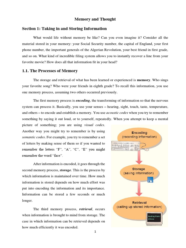 Memory and Thought | PDF | Memory | Recall (Memory)
