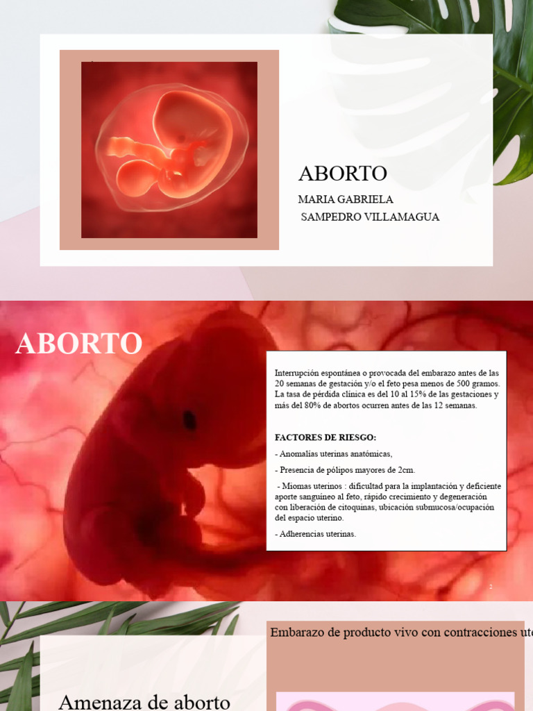 ABORTO | PDF | El embarazo | Aborto