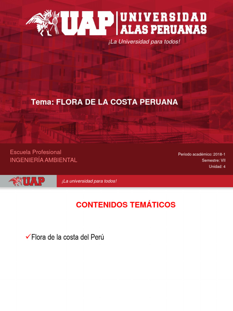 Flora de La Costa Peruana | PDF | Arboles | Ramas de la botánica