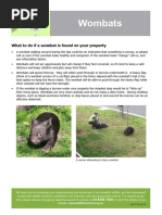 The Gruffalo PPT Story Lesson | PDF