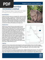 Wombat Facts for Kids | PDF