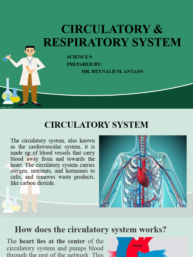 Science 9: Circulatory & Respiratory Systems | PDF | Respiratory Tract ...