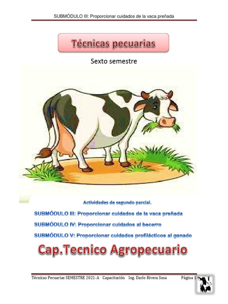 Tecnicas Pecuarias Subm III. | PDF | Vacas | Parto