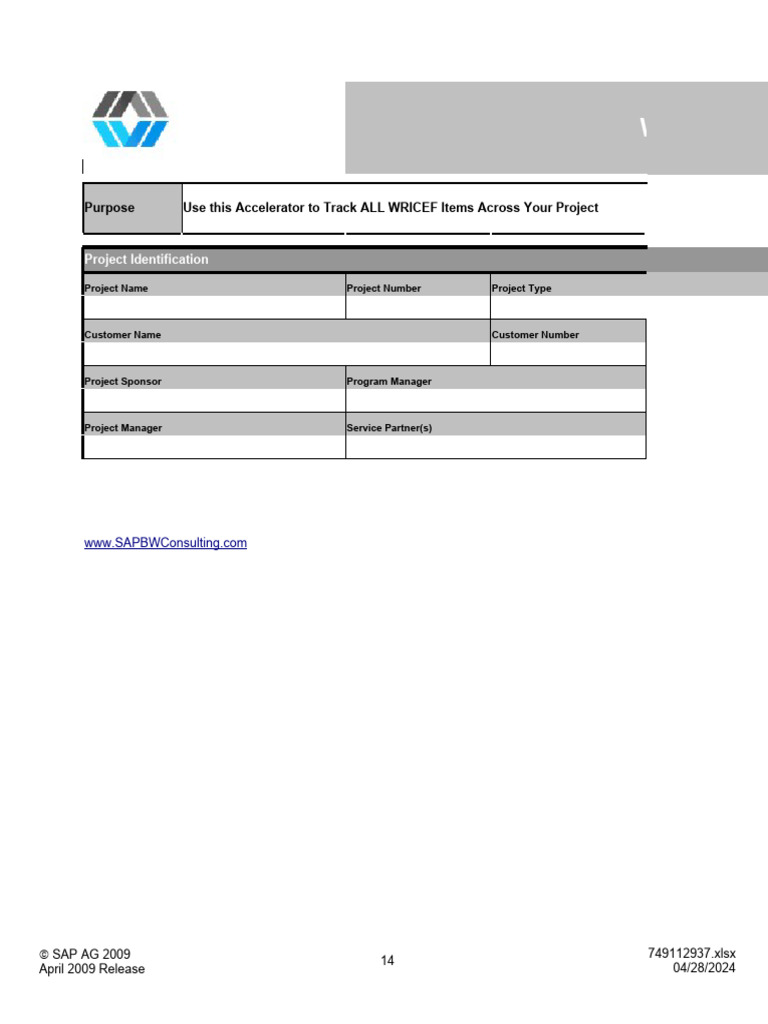 Wricef Inventory Template-1 | PDF | Systems Engineering | Information Technology