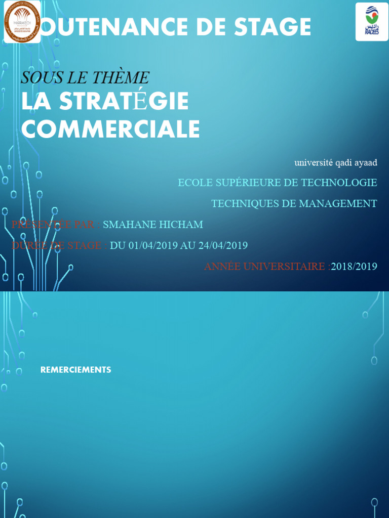 Stratégie Commerciale RADEES | PDF | Commercialisation | Stratégie ...