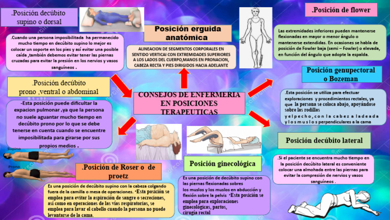 Guía De Posiciones Terapéuticas Pdf Términos Anatómicos De Ubicación