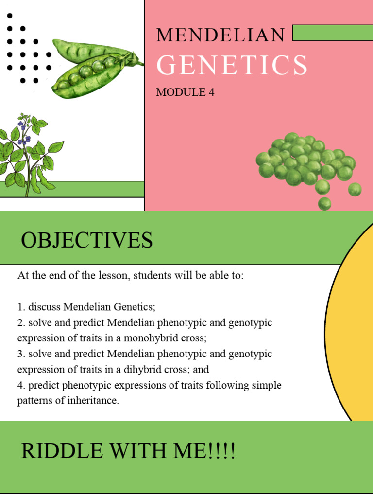 Heredity Trait Inheritance and Variation Educational Presentation in ...