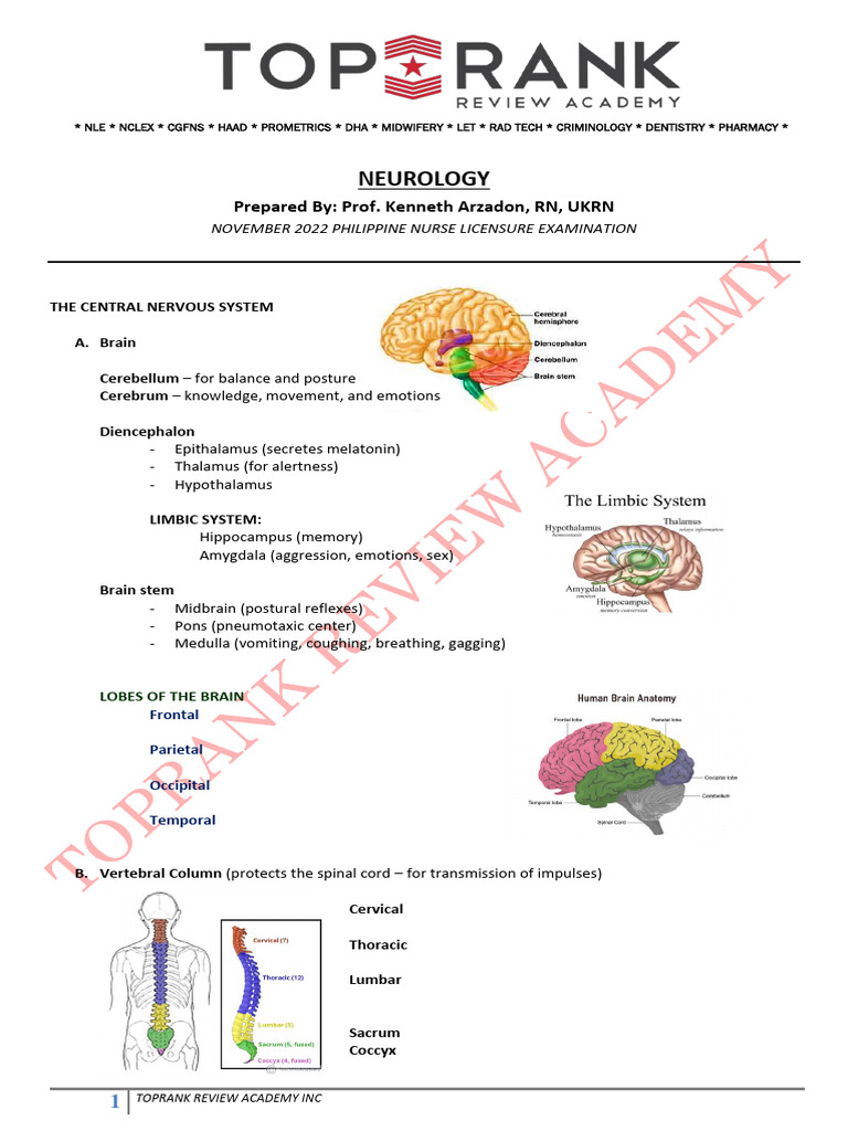 NCLEX Neurology Review by Kenneth Arzadon | PDF | Central Nervous ...