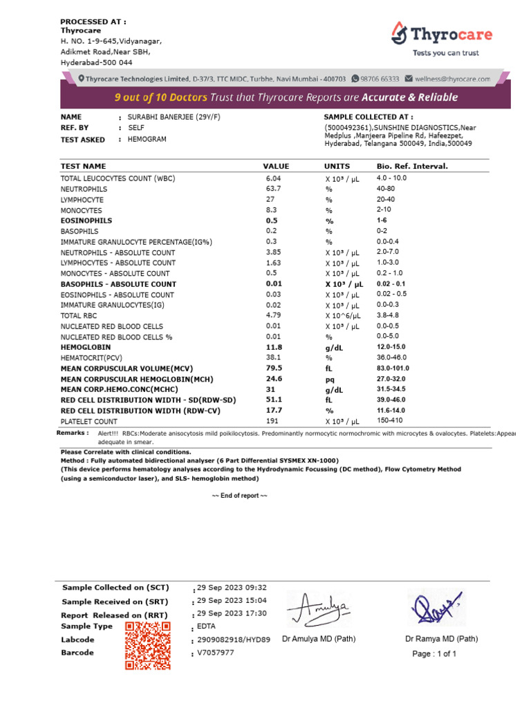 Report V7057977 2023 09 29 R L | PDF | White Blood Cell | Clinical Medicine