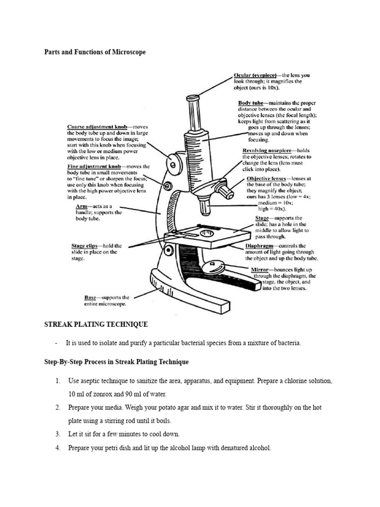 Parts and Functions of Microscope | PDF | Staining | Microscopy