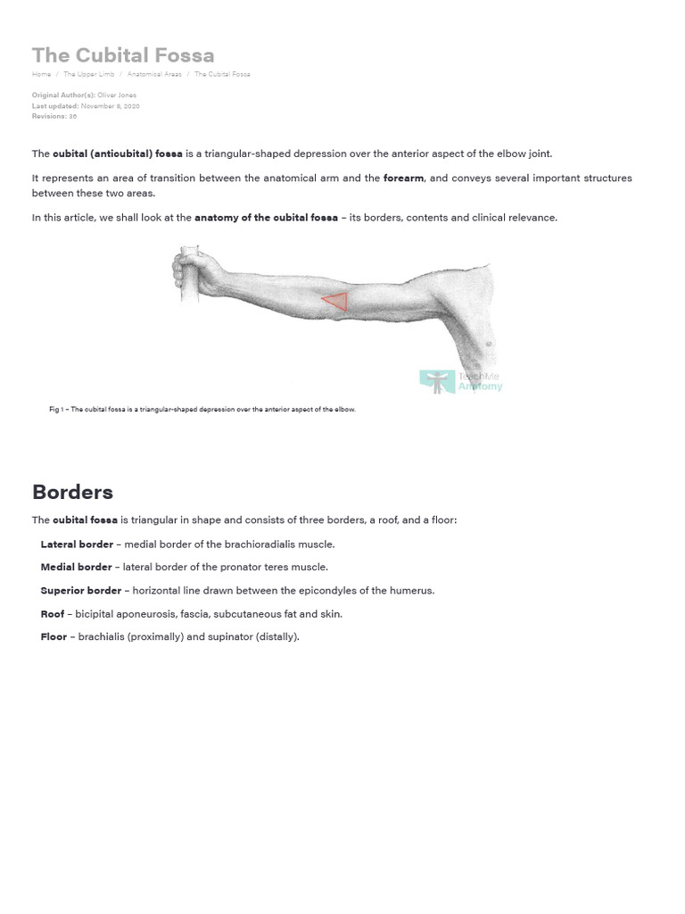 The Cubital Fossa - Borders - Contents - TeachMeAnatomy | PDF | Arm | Elbow