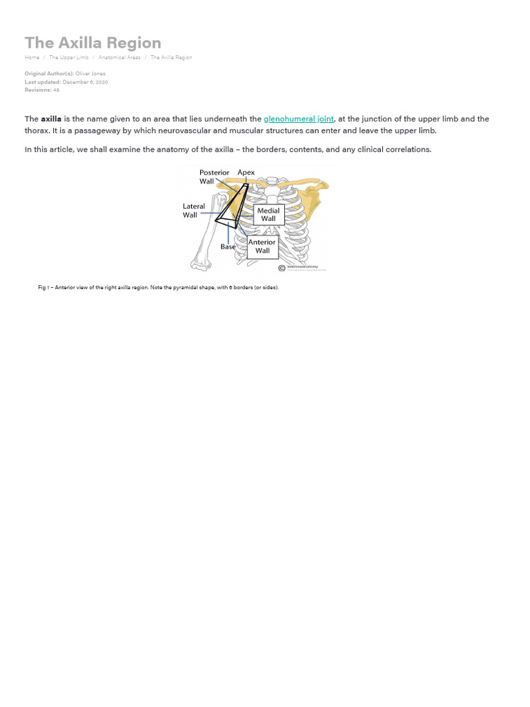 The Axilla Region - Borders - Contents - TeachMeAnatomy | Download Free ... The Axilla Region - Borders - Contents - TeachMeAnatomy | Download Free ...