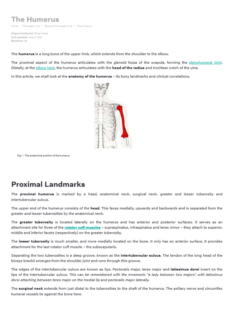 The Humerus - Proximal - Shaft - Distal - TeachMeAnatomy | Download ... The Humerus - Proximal - Shaft - Distal - TeachMeAnatomy | Download ...