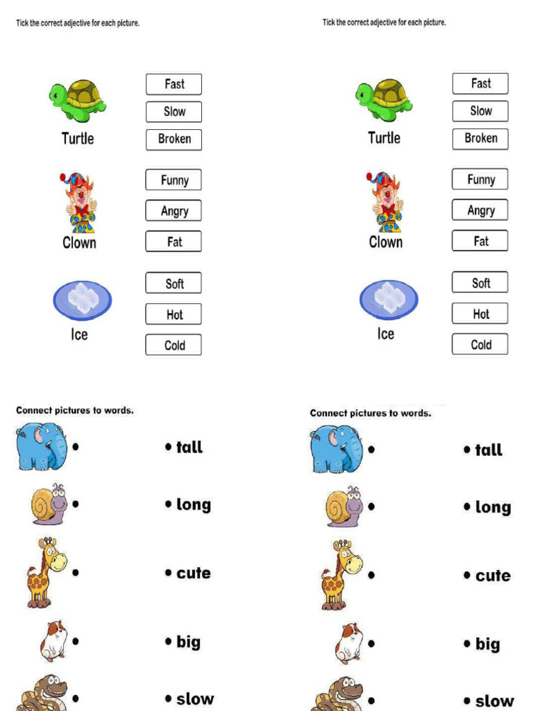 Choose The Correct Adjective Slow Fast Broken | PDF