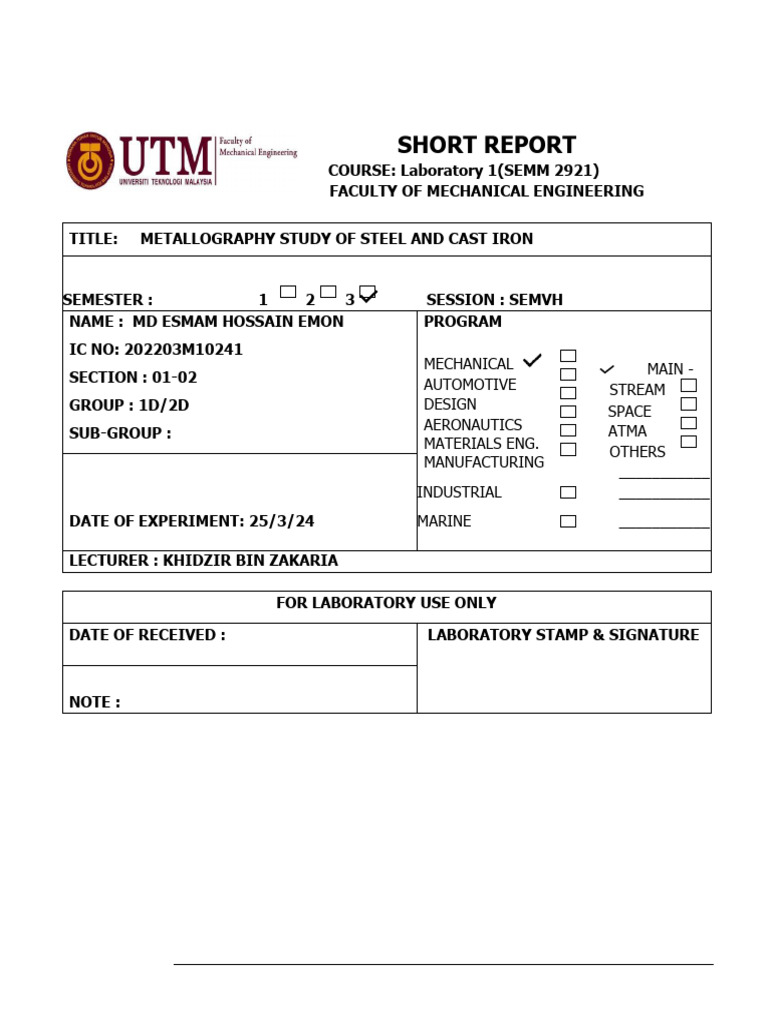 Short Report 1 - Metallography of Steel and Iron | PDF | Materials | Iron