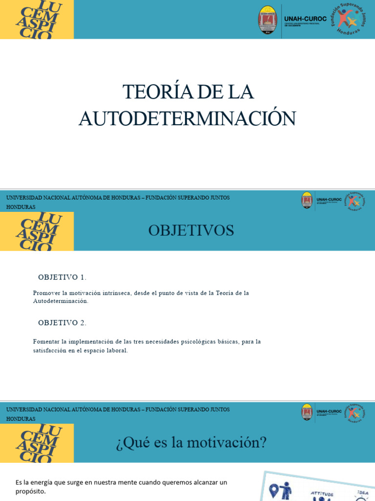 Teoría de La Autodeterminación | Descargar gratis PDF | Motivación ...
