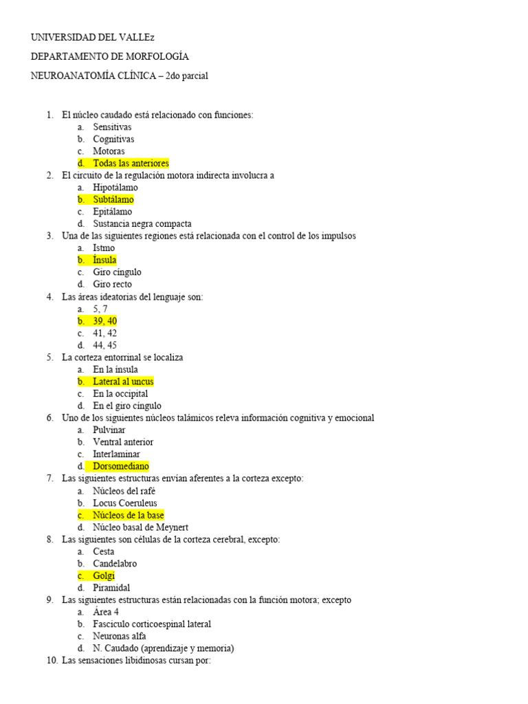 Neuro2 1 | PDF | Neuroanatomía | Anatomía humana