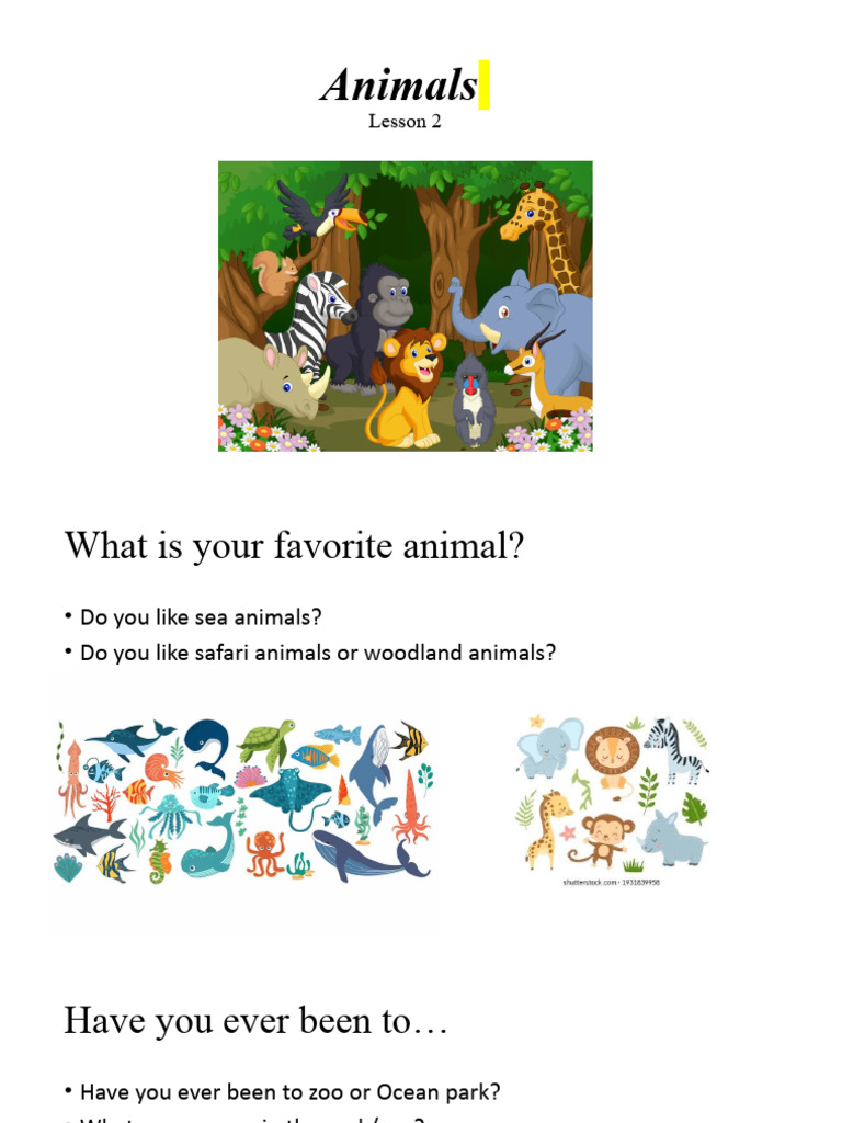 lesson 2 animal (1) | PDF