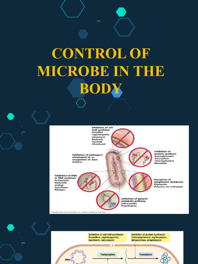 10-Control-of-Microbe-in-the-BODY | PDF | Antimicrobial Resistance ...
