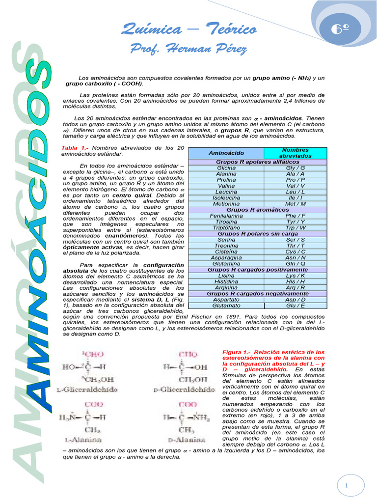 Marco Te Rico Amino Cidos | PDF | Aminoácidos | Polaridad química