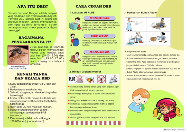 Leaflet DBD Revisi - 1 | PDF