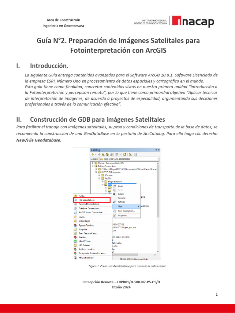 Guia N°2 Preparación de Imagenes Satelitales para Fotointerpretacion Con ArcGis 2 | PDF | Arc ...